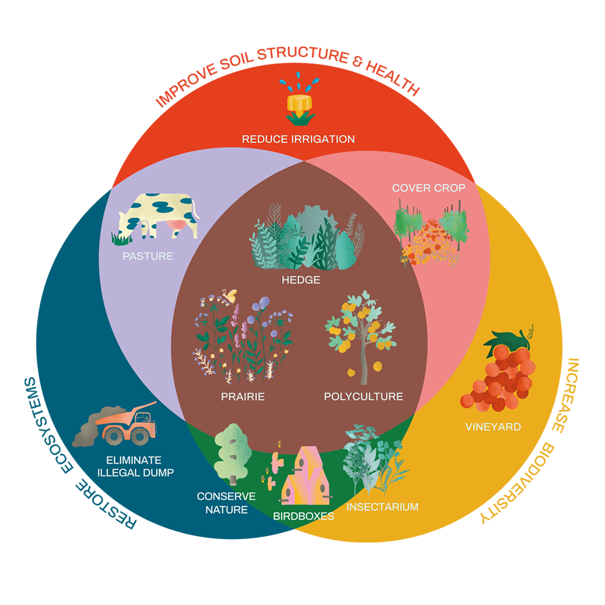 Regenerative Agriculture: A Solution to Climate Change - Chateau De Nages